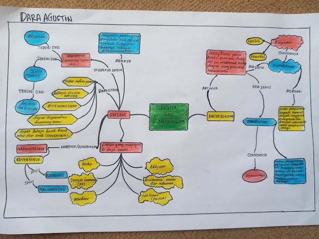 Tugas Mind Mapping Materi Enzim dan Metabolime Kelas XII MIA 1 - Kelas ...