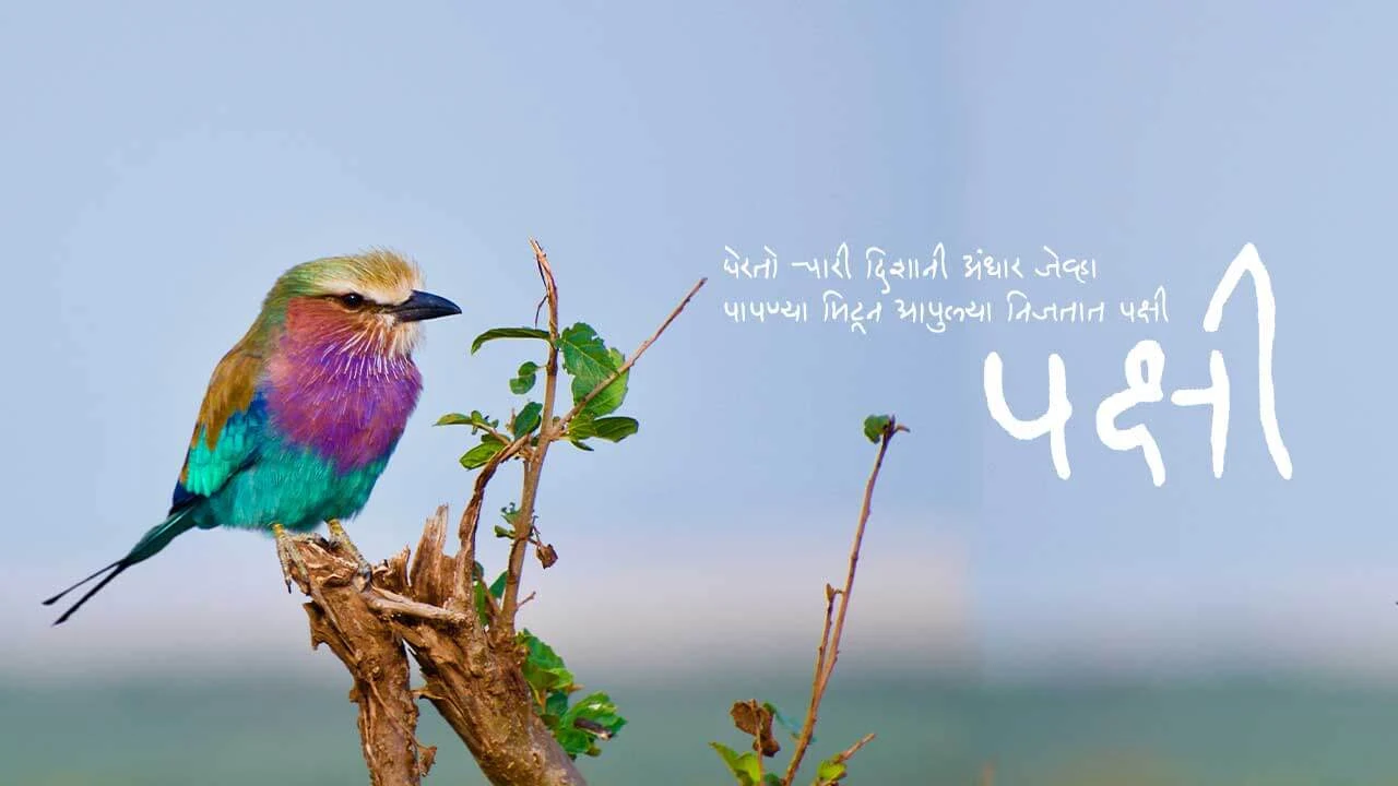 पक्षी - मराठी कविता