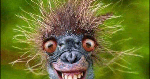 Ivet blog: Vtipné obrázky :)