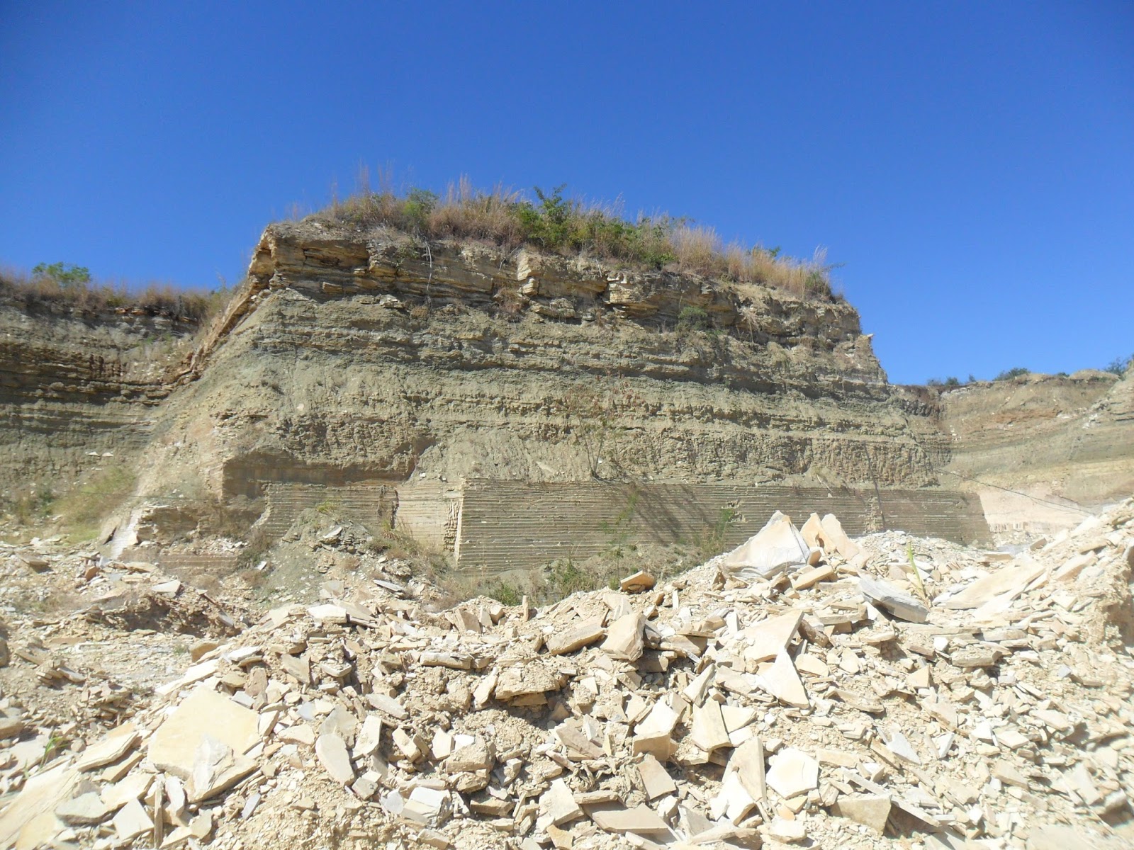 GEODINO: PTEROSSAURO