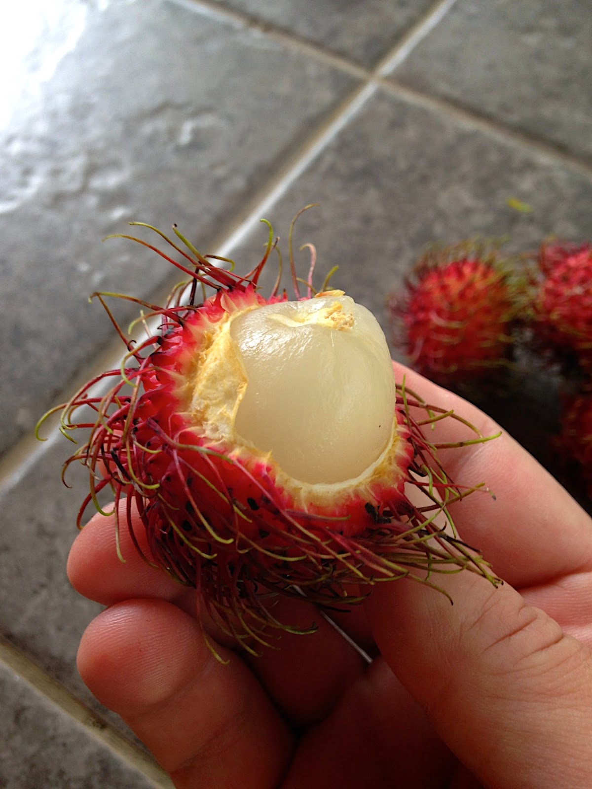 Expats in Costa Rica: Mamon Chino