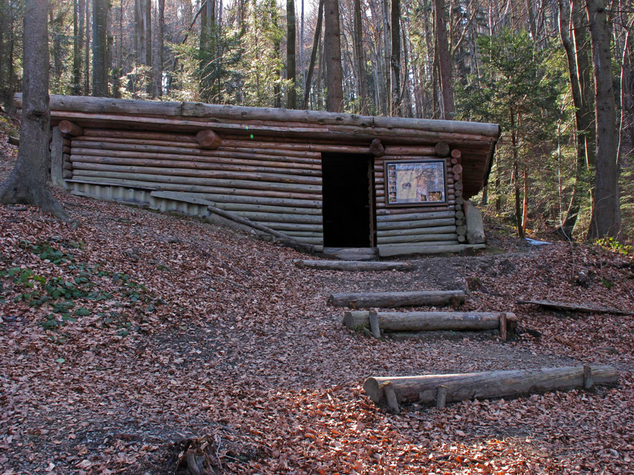Simboli polpretekle zgodovine: BOHOR
