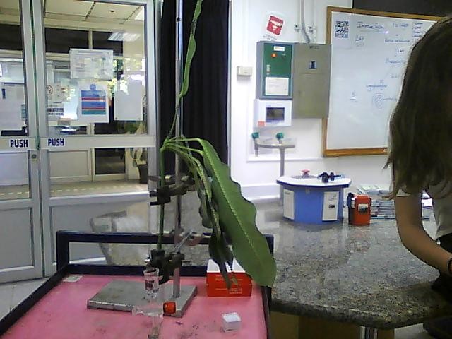 Daniel's Science Blog