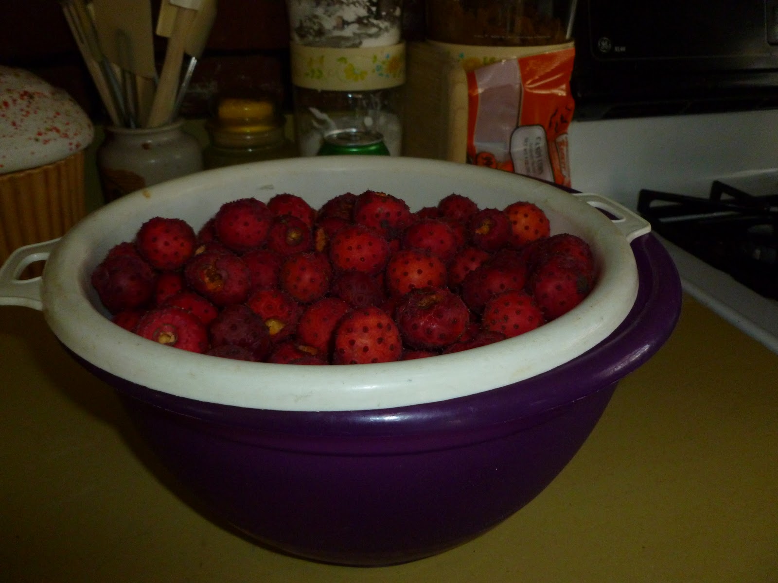 Mair's Musings: Kousa Dogwood Fruit Jelly