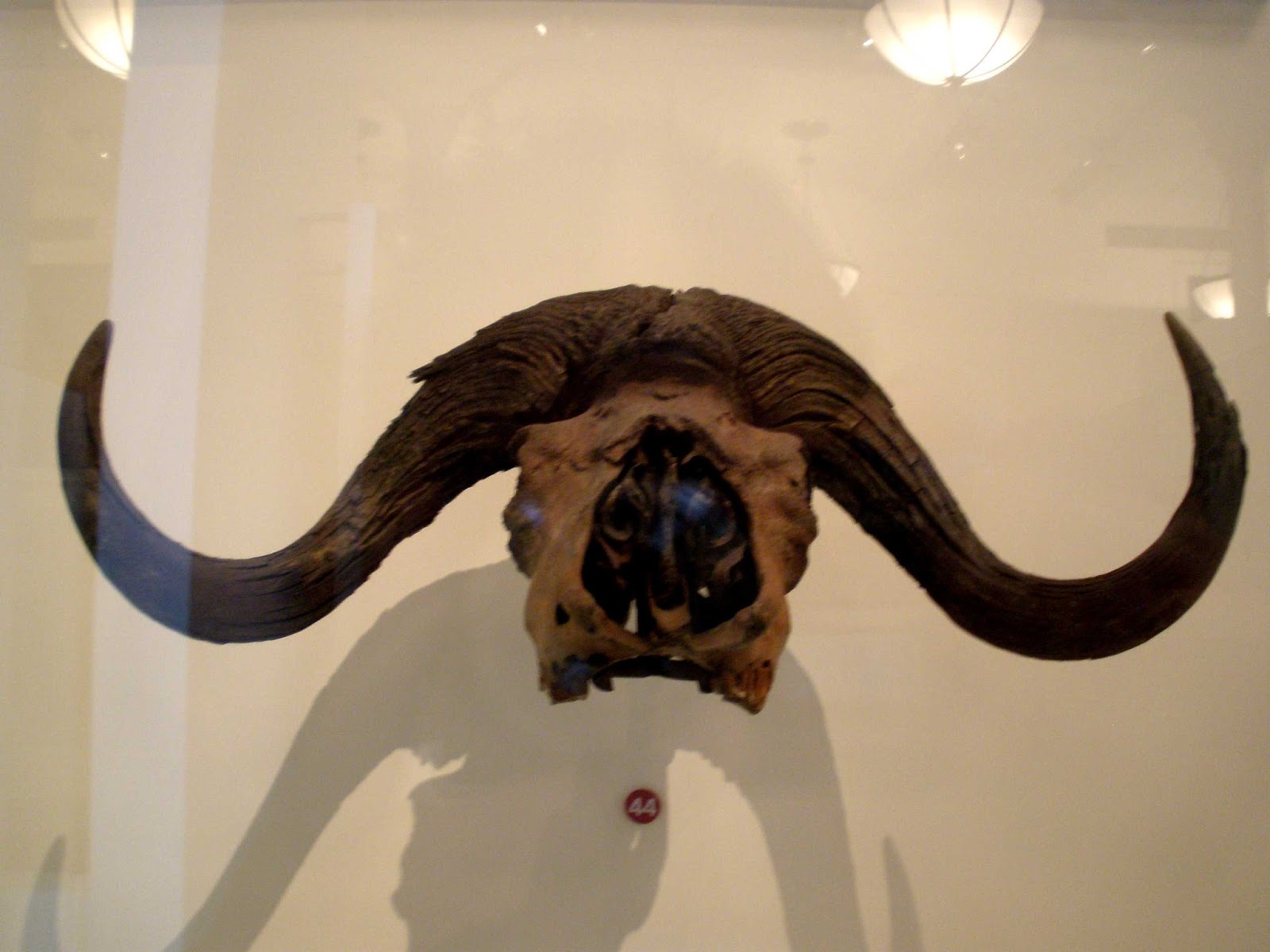 Archaeology of Portable Rock Art: Flintstone may depict a "Paleolithic ...