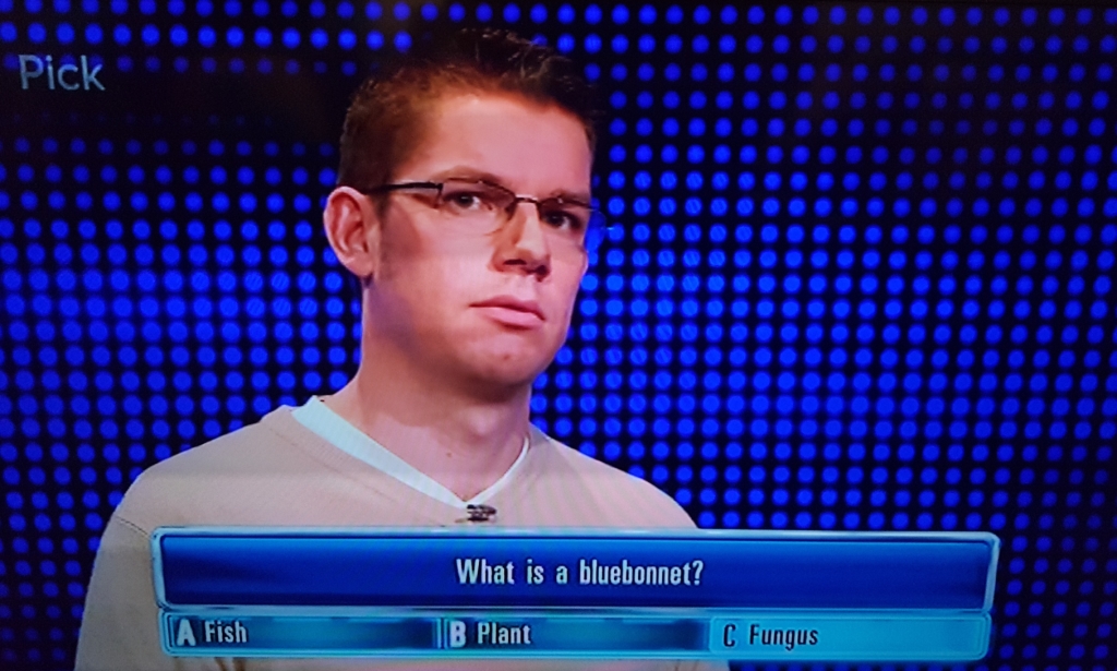 The Ham and Egger Files: The Chase