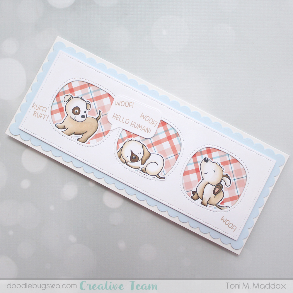 Doodlebugs: Hello from Toni: Puppies!