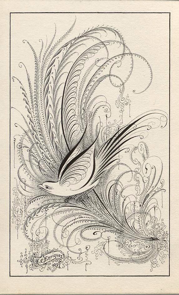 Anne-Davnes Elser: Birds & Flourishing Calligraphy Workshop with Bill Kemp