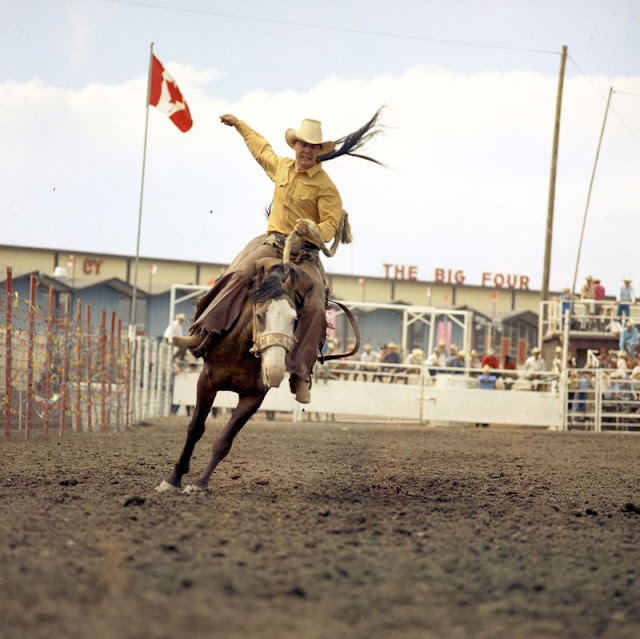 The Calgary Stampede: One of the Largest Outdoor Rodeos in the World ...