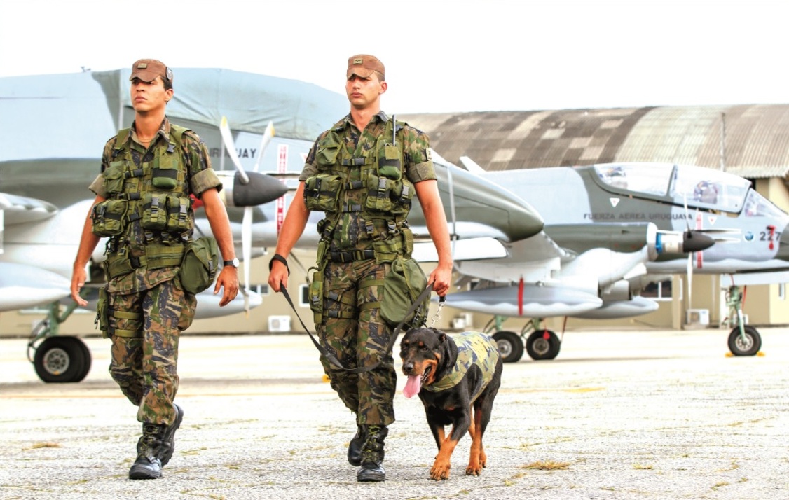 Especialidades da EEAR