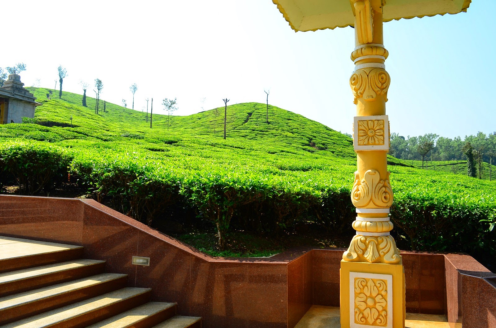 Sharath Hassan A Travelling Photographer: Samse Tea Estate near ...