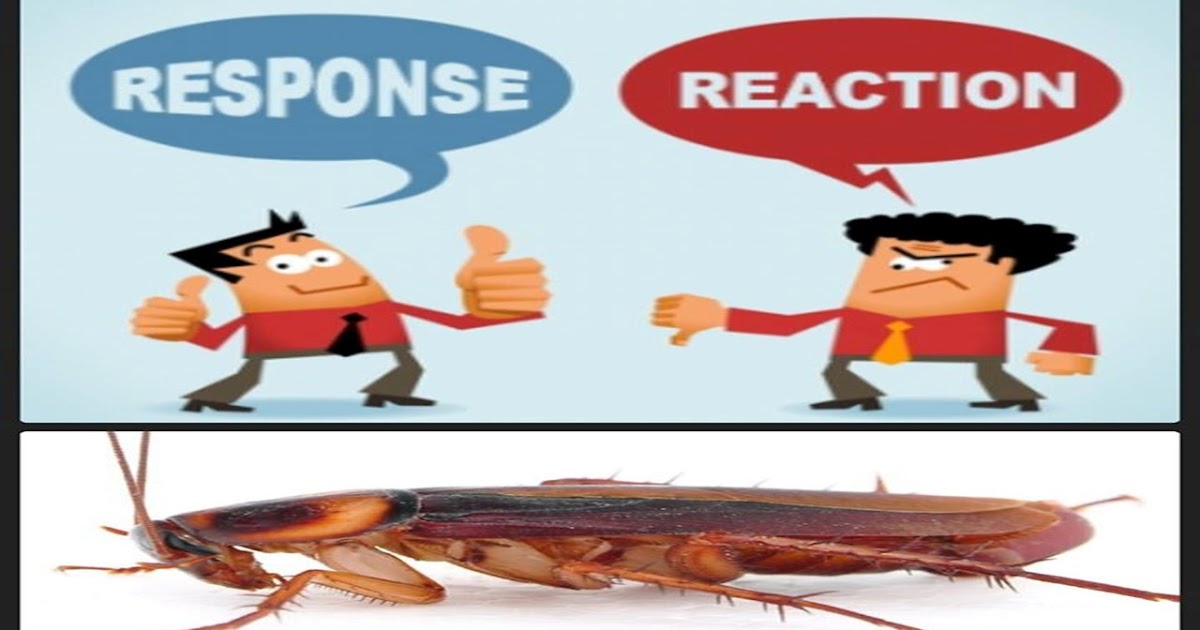 REACTION vs RESPONSE - The Art of Inspiring