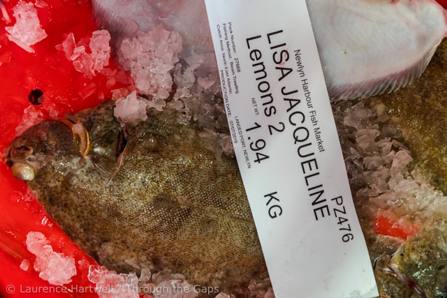 Through the Gaps! - Newlyn Fishing News: Monday morning Newlyn fish ...