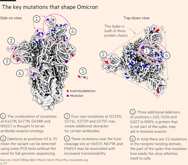 WHO says it is analysing two new Omicron COVID sub-variants (BA.4 and BA.5)