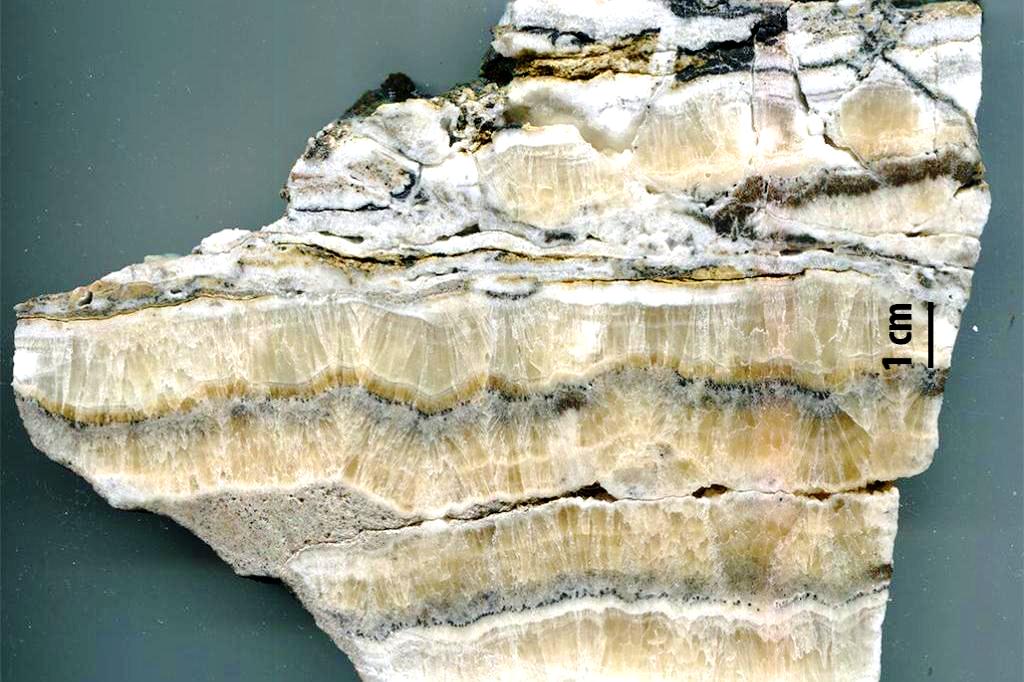 Radioactive Elements in New Mexican Rock Reveal Longest Earthquake ...