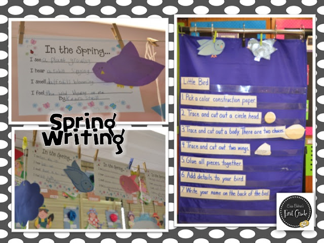 First Grade Spring Exhibit