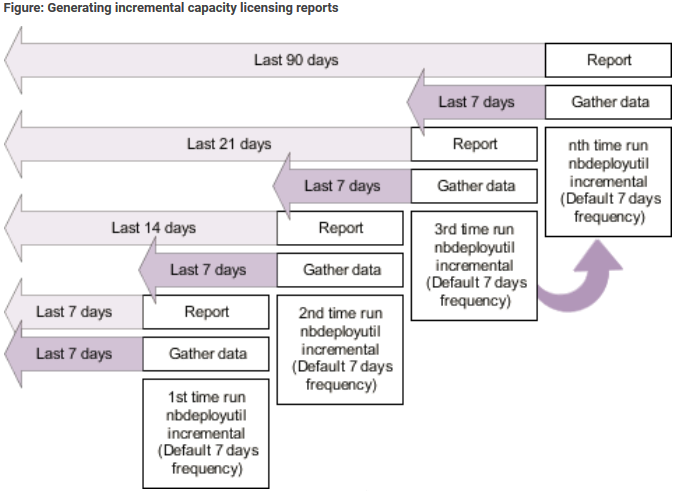 How To Define Veritas Netbackup Licensing Model