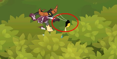 Animal Jam Adventures: Birds Of Paradise Guide