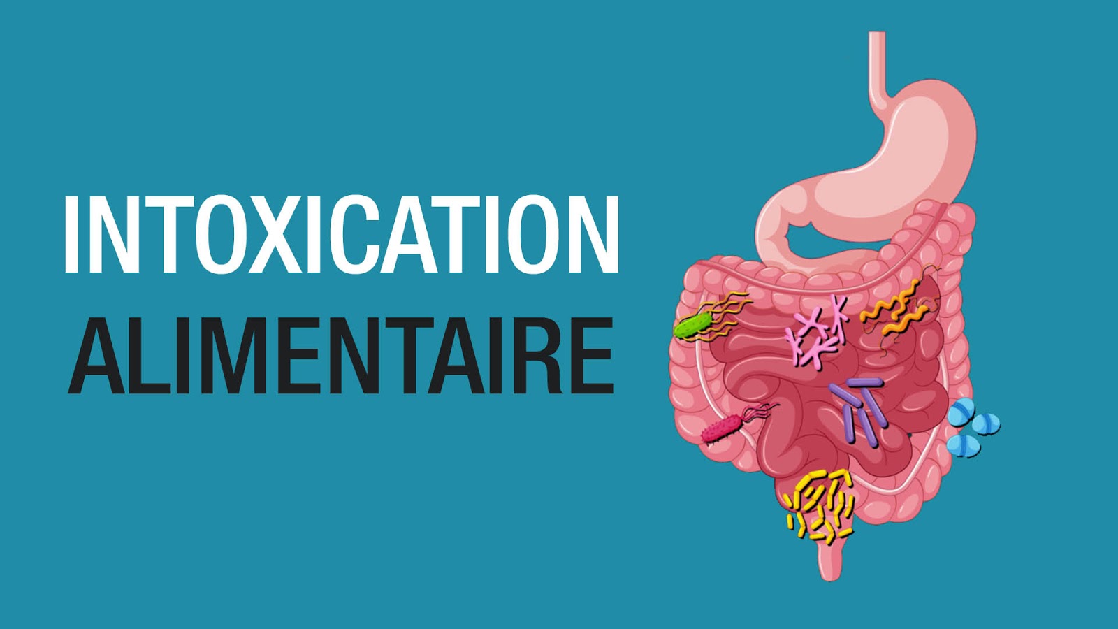 juillet 2020 ~ Nos Conseils de Vie