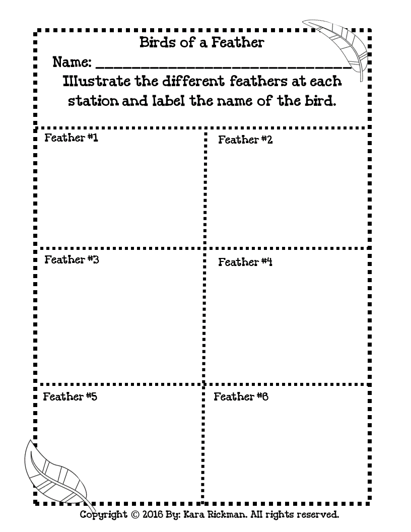 Create Your Balance With Literacy