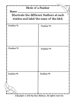 Create Your Balance With Literacy