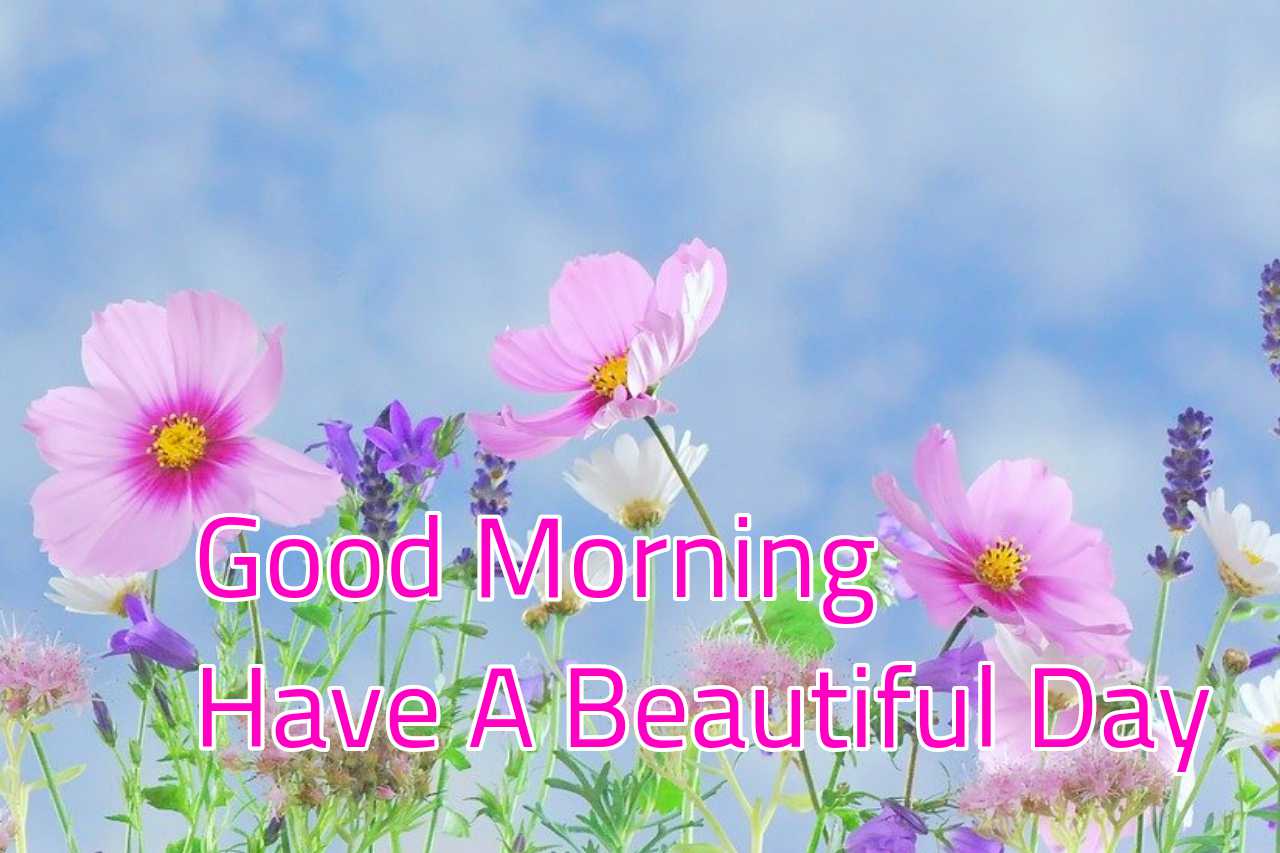 Good morning images Latest new hd pic for whatsapp & social media.