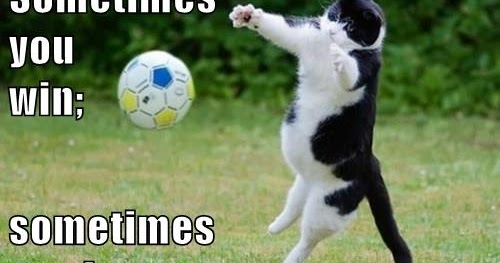 Growth Mindset & Feedback Cats: Sometimes you win; sometimes you learn.