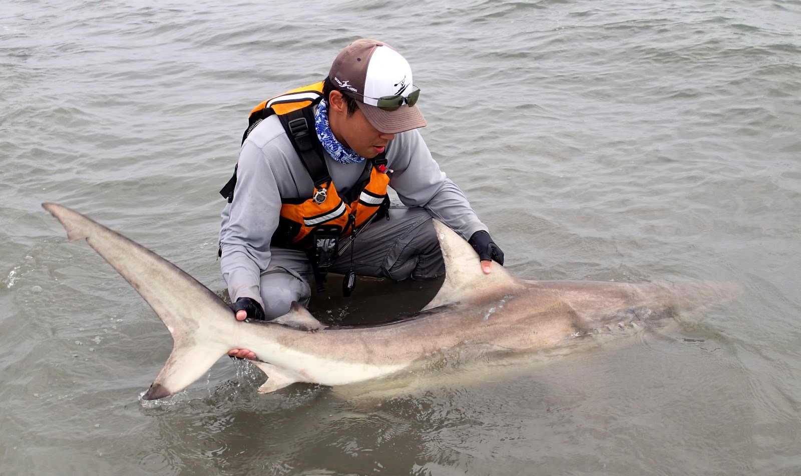 Angling Addict: 17 Boat Beating Champs and a Trophy Shark