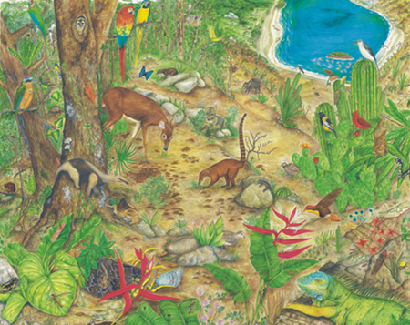 Bosque Seco Tropical: ¿Qué es?