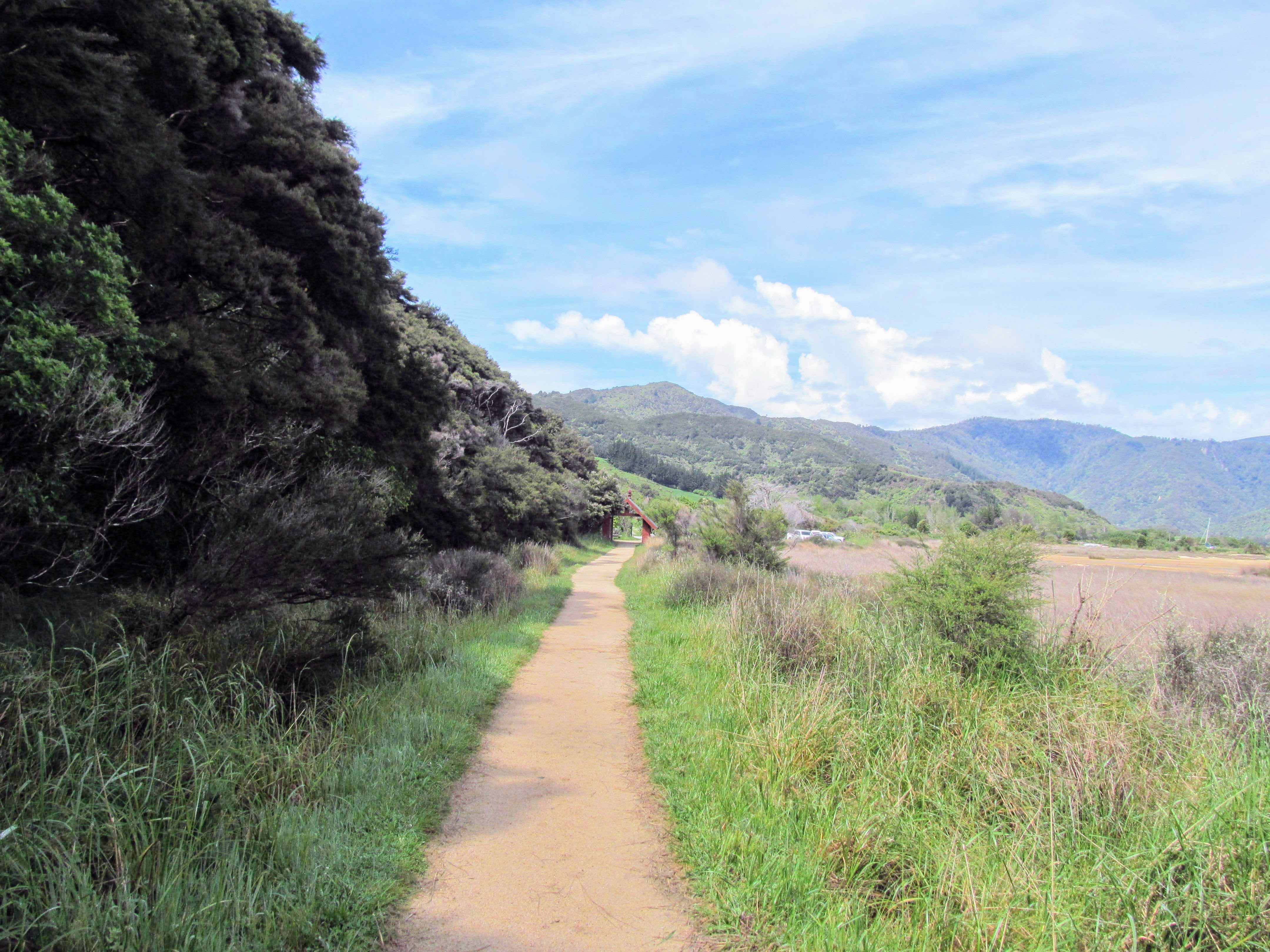 Tramping in the New Zealand backcountry: NZ Bush Adventures: Wainui ...