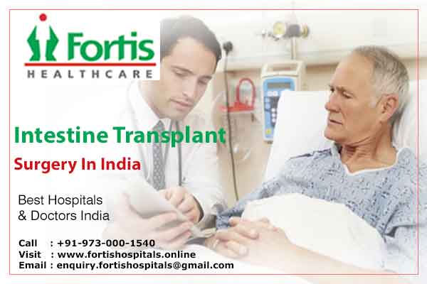 Types of Intestine Transplant Surgery In India - Fortis Hospitals