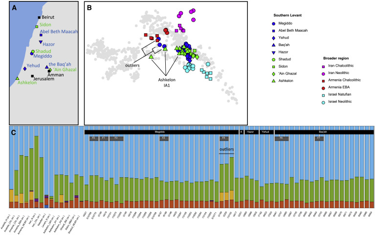 Dispatches From Turtle Island: Ancient DNA From the Southern Levant