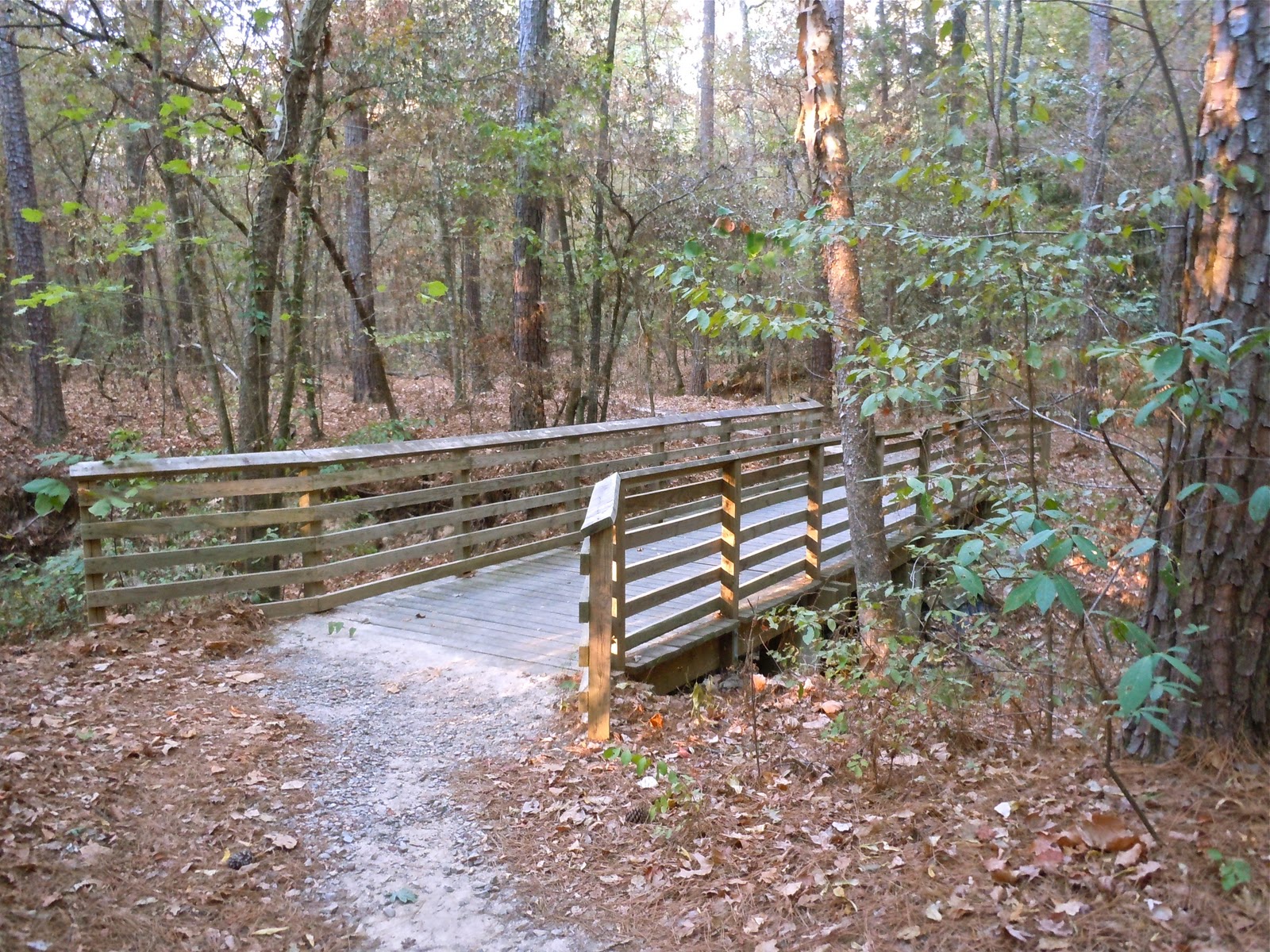 Whalechaser's Musings: Digging for Diamonds at Crater of Diamonds State ...
