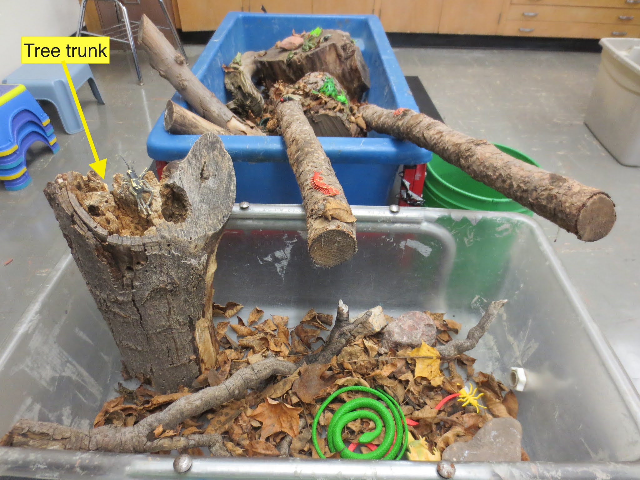 SAND AND WATER TABLES: The life of a dead tree trunk in the classroom