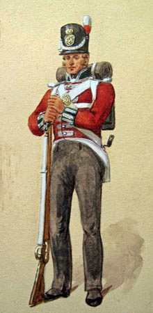 THE BRITISH ARE COMING!: 69th Regiment of Foot, 1815
