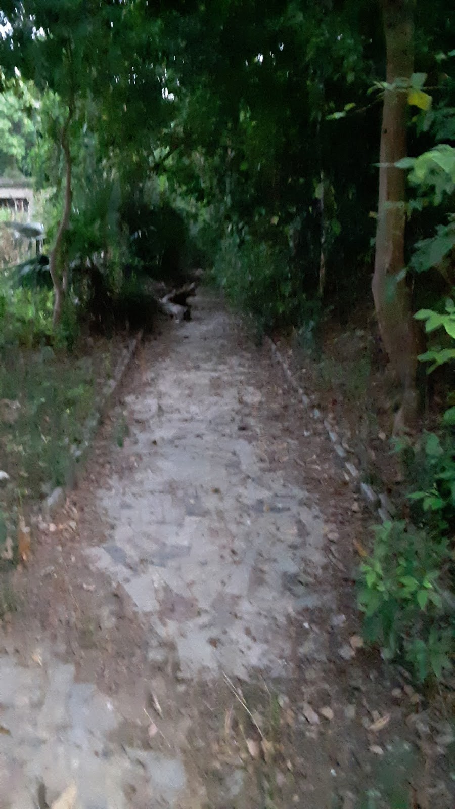 Azriel Johnson, Official Author Blog