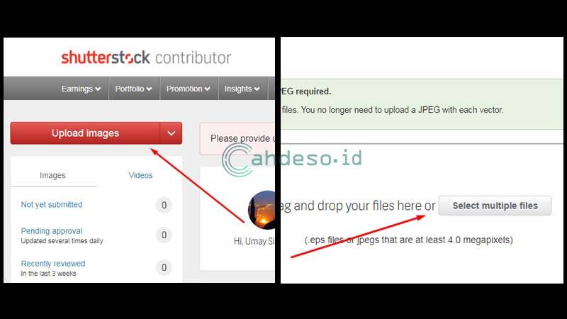 Cara Upload Vector di Shutterstock Terbaru, Dijamin Approve! - CAHDESO ...
