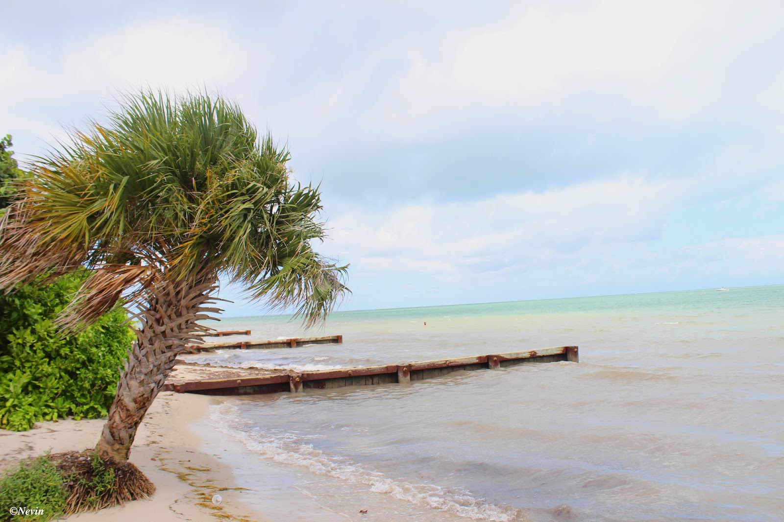 Virginia Key Beach, Miami, Florida - THROUGH THE LENS