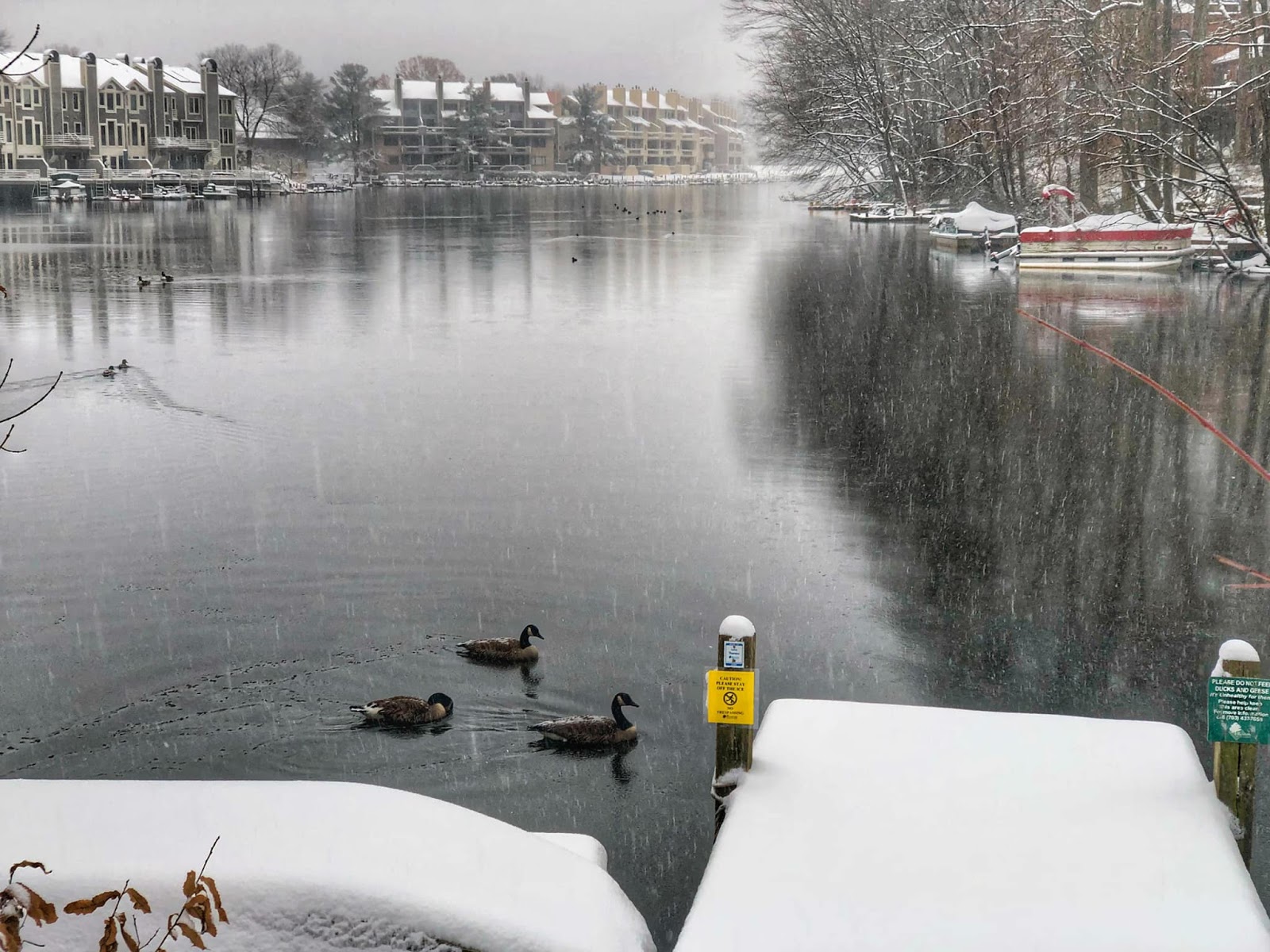 Lakeport Cluster Pictures