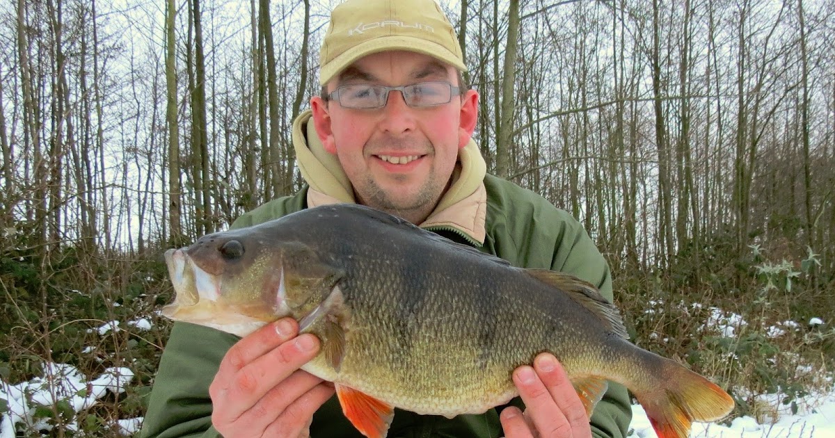 A Specialist Anglers Diary: River perch - when your luck's in