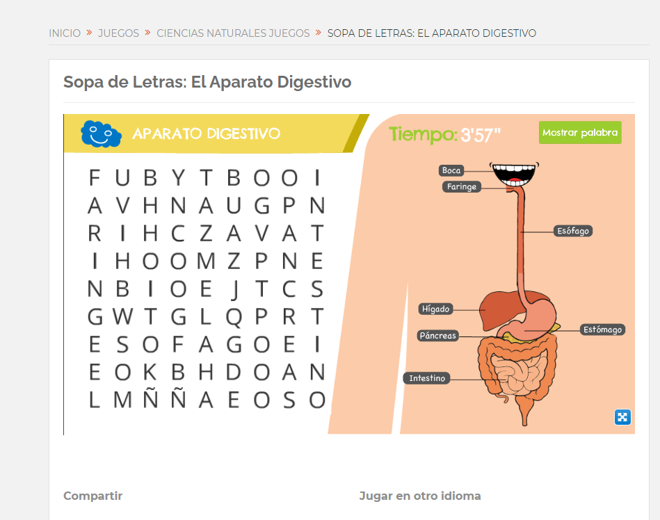Sistema Digestivo 4°: Sopa de letras