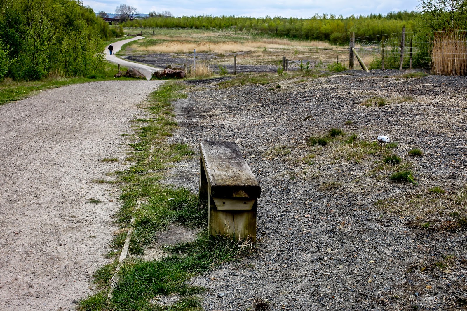 pointless walks to dismal places: Manvers Main Colliery to Cortonwood ...