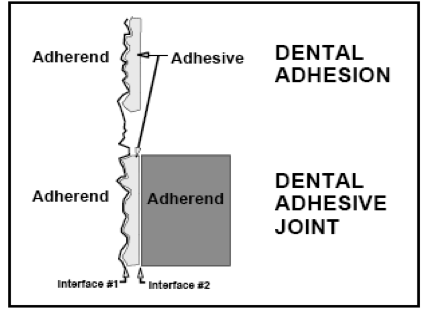 ADHESI & BONDING SYSTEM