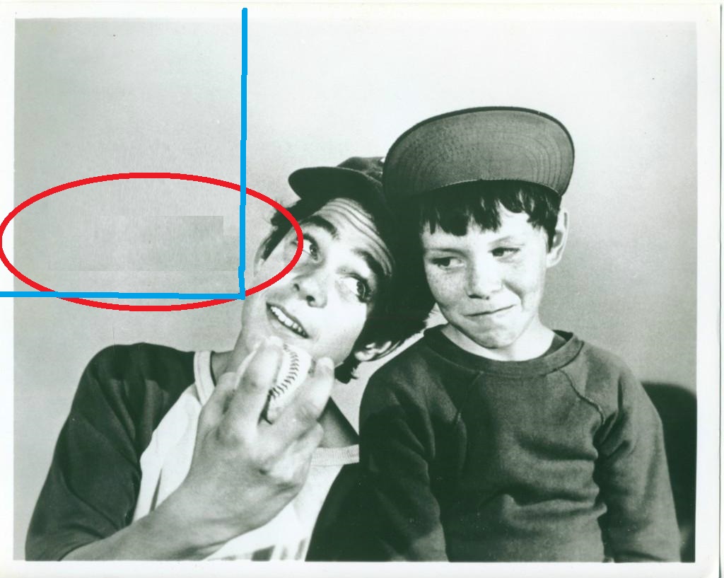 The Brady Bunch Blog: Mike Lookinland and Barry Williams