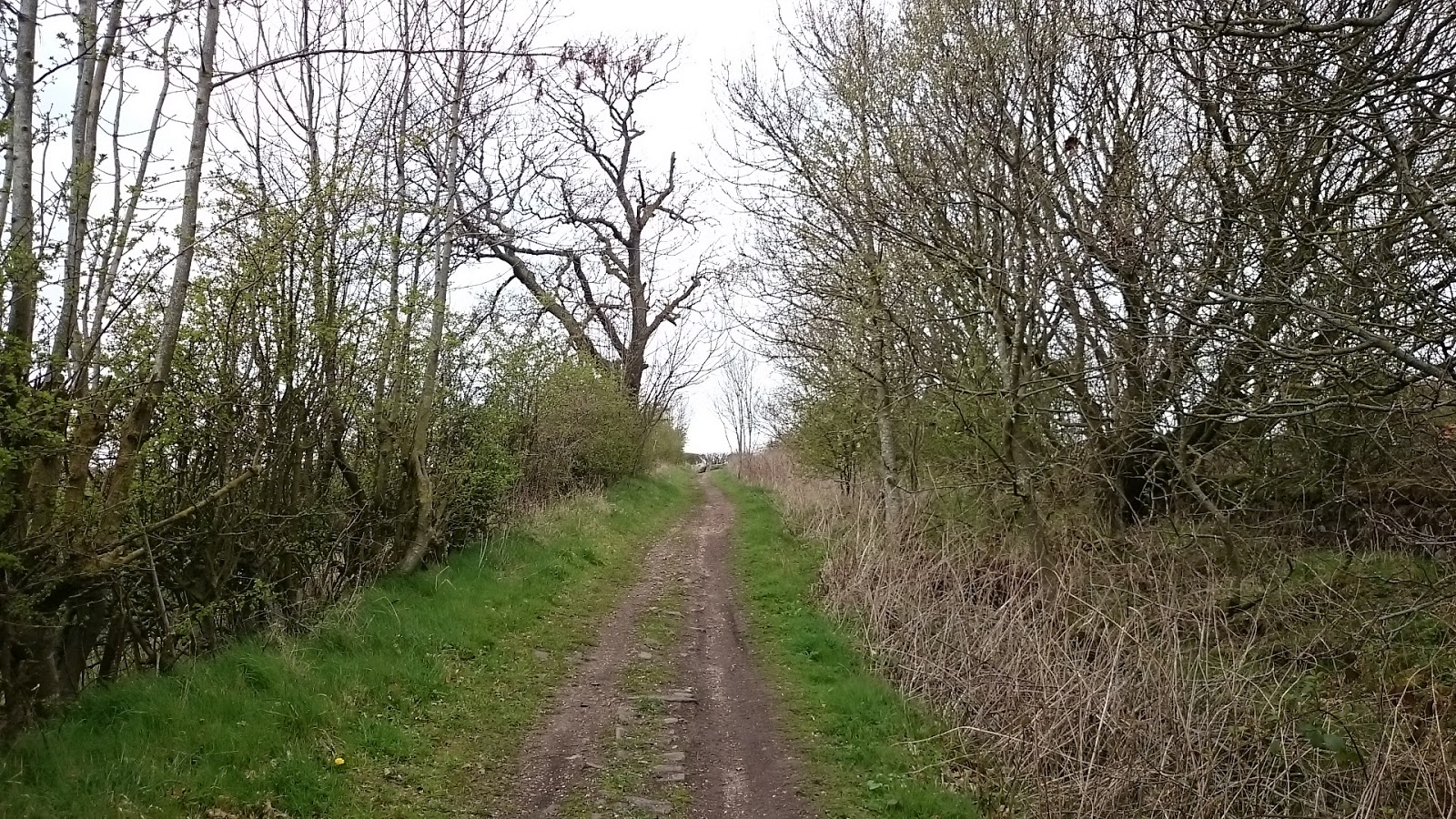 Leo du Feu - Landscape, Art, Nature, Birds: Scotland by Rail - Markinch ...