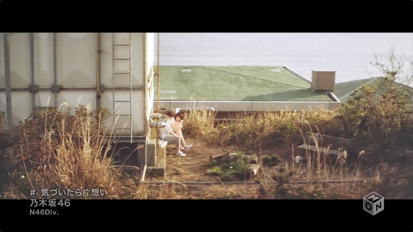 Nia's Wonderland: The Surprisingly Sad Story of a Dandelion