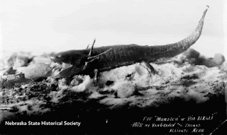 Christoph Roos: Walgren Lake Monster aka The Alkali Lake Monster