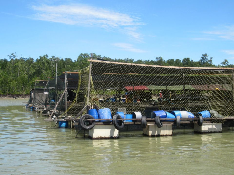 My Palace, My symphony of life and the rhythm in My heart: Kukup Island ...