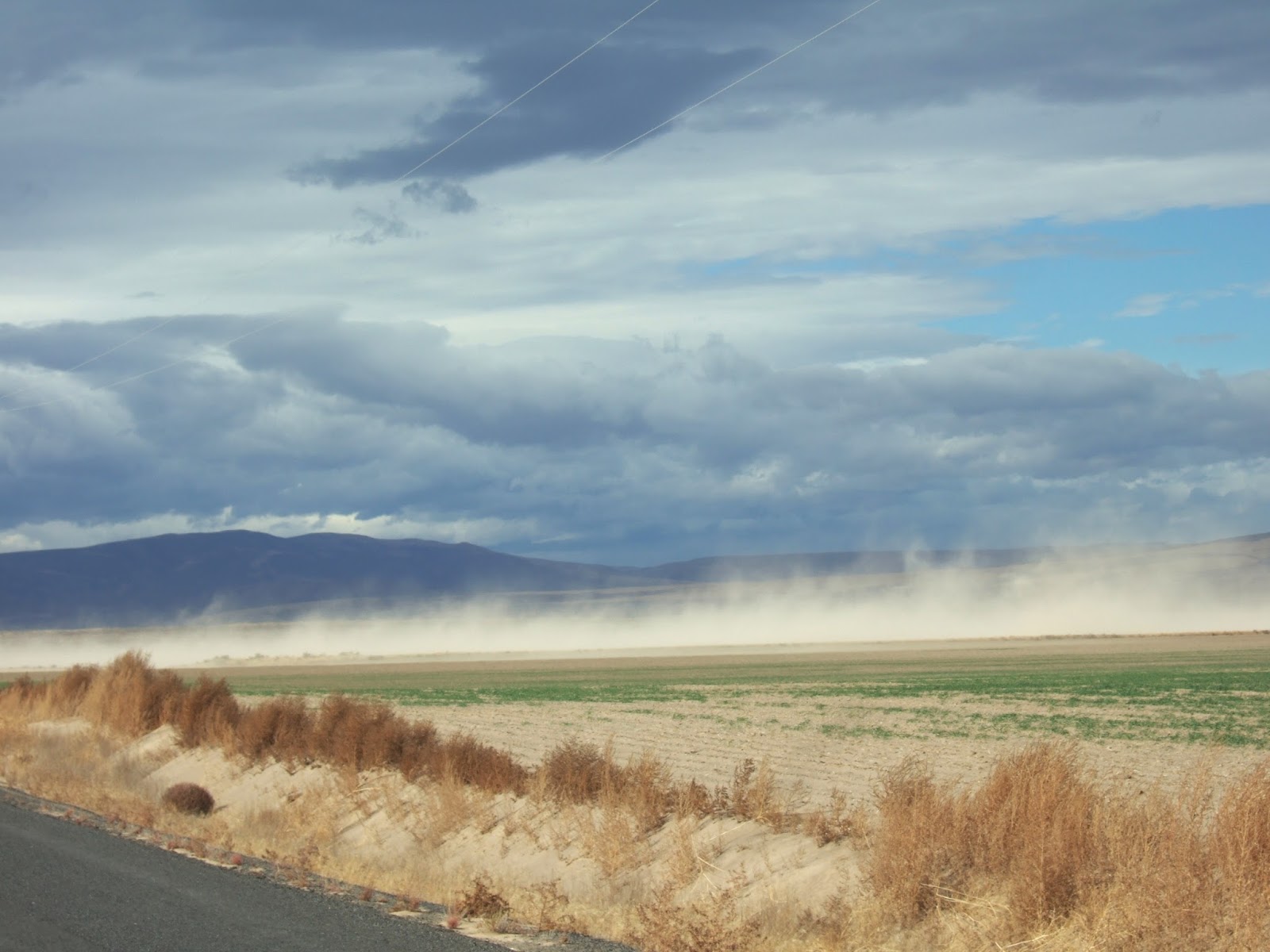 Reading the Washington Landscape: Dust Blow