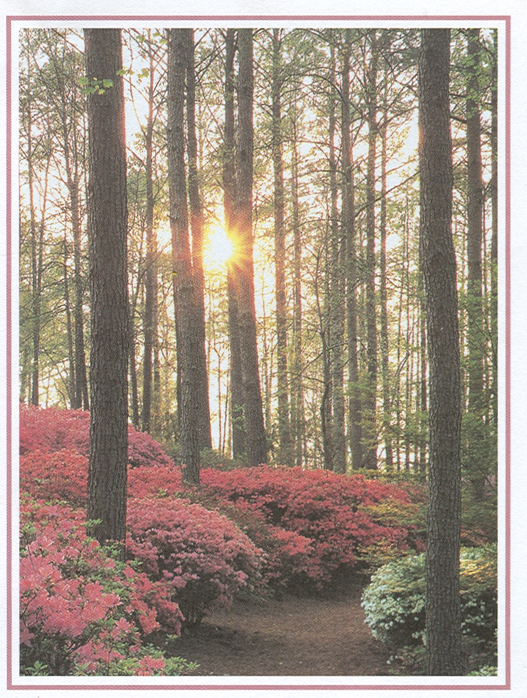 Evans Funeral Homes Obituaries: August 2013